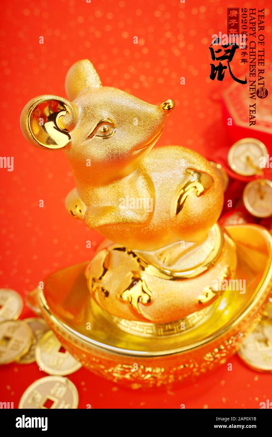 Year of the rat hi-res stock photography and images - Alamy