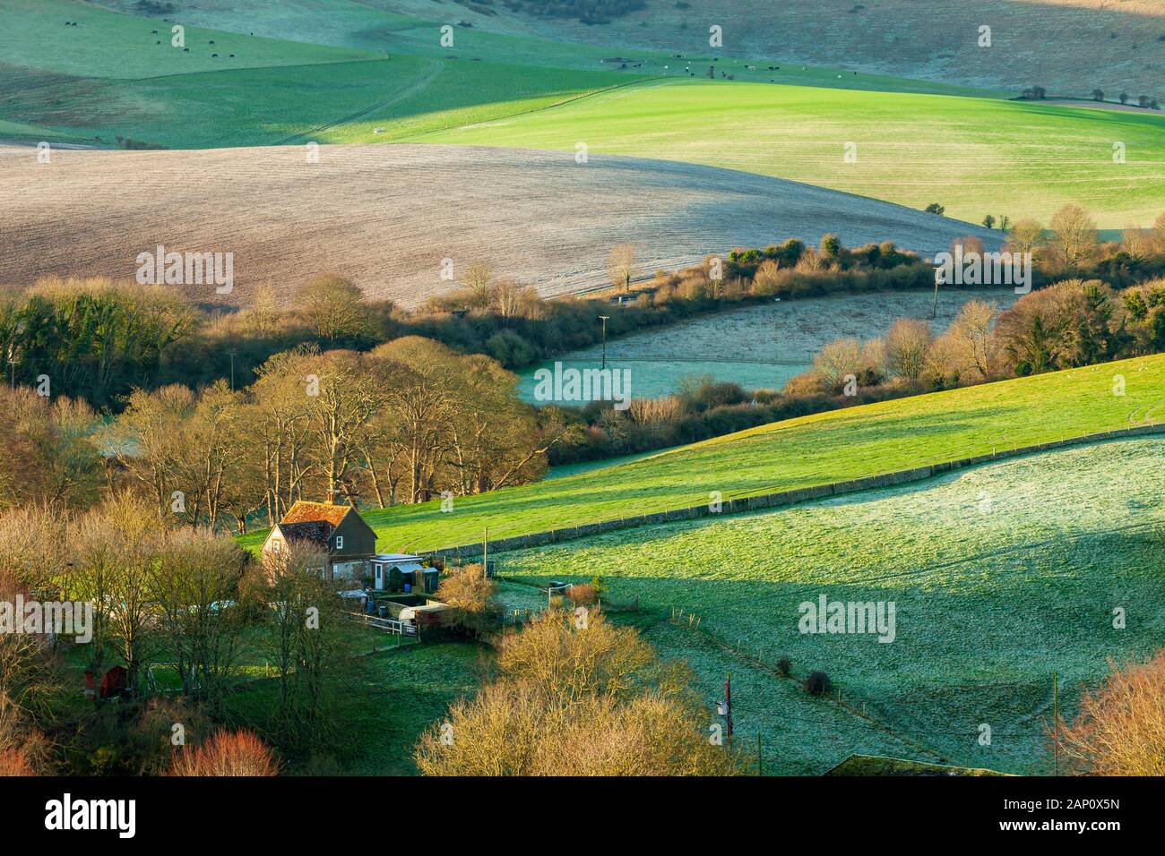 Winter morning on the South Downs near Lewes, East Sussex, England ...