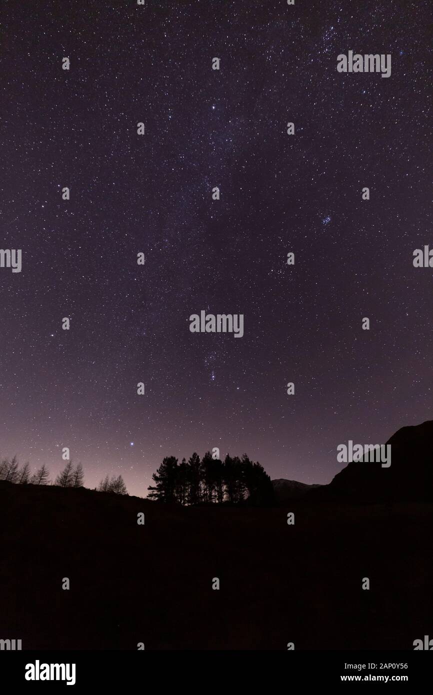 Night forest treeline hi-res stock photography and images - Alamy