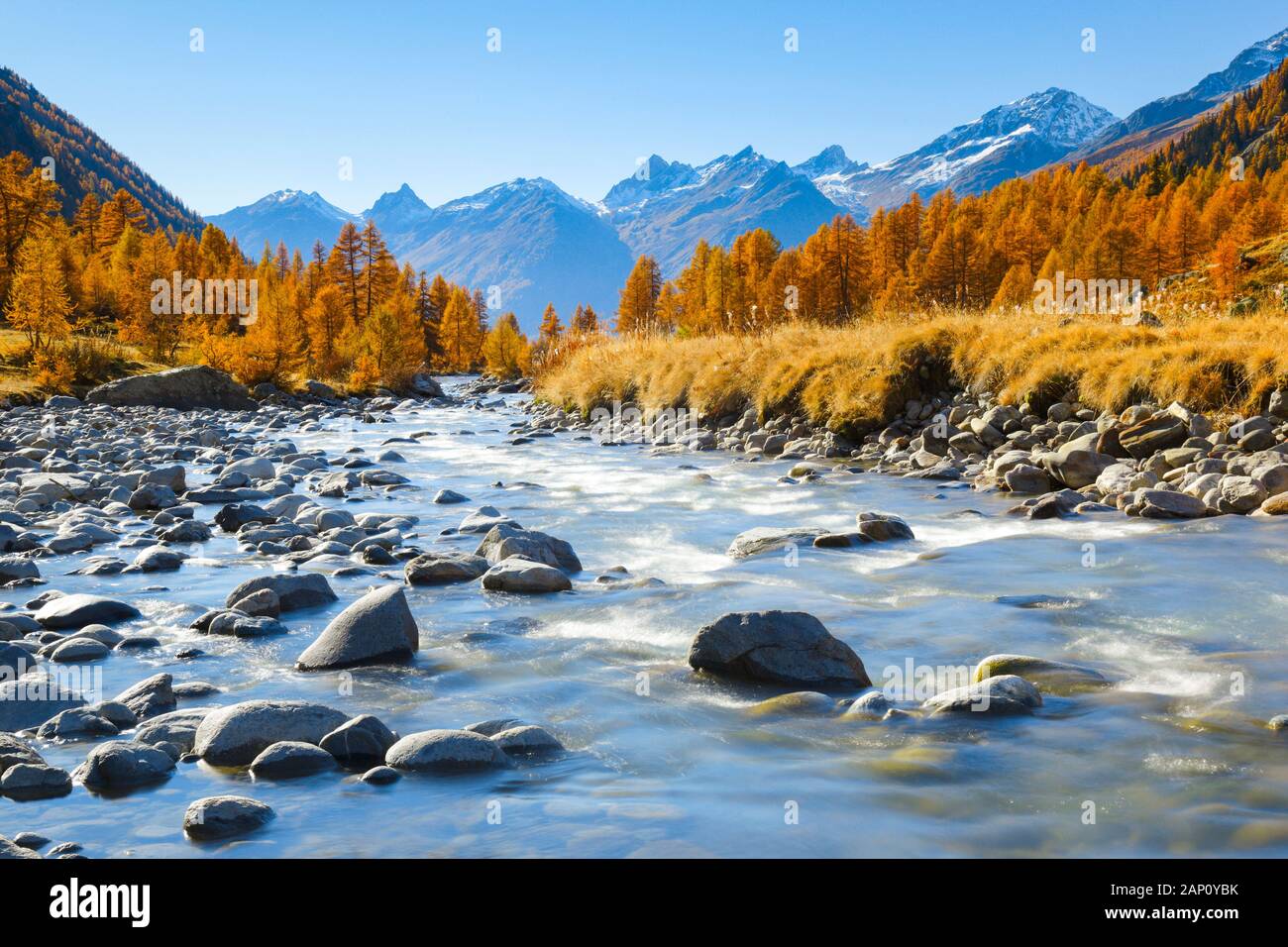 Lonza switzerland hi-res stock photography and images - Alamy