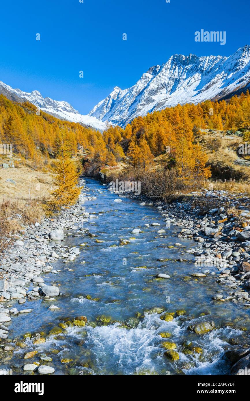 River Lonza at valley Loetschental in autumn with mountains Aletschhorn ...