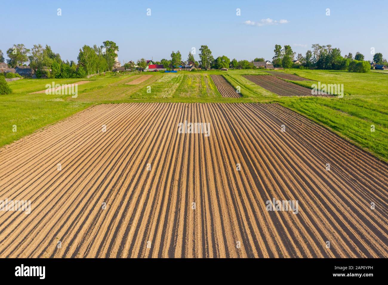 Plowing land furrows for planting agronomical plants among the ...
