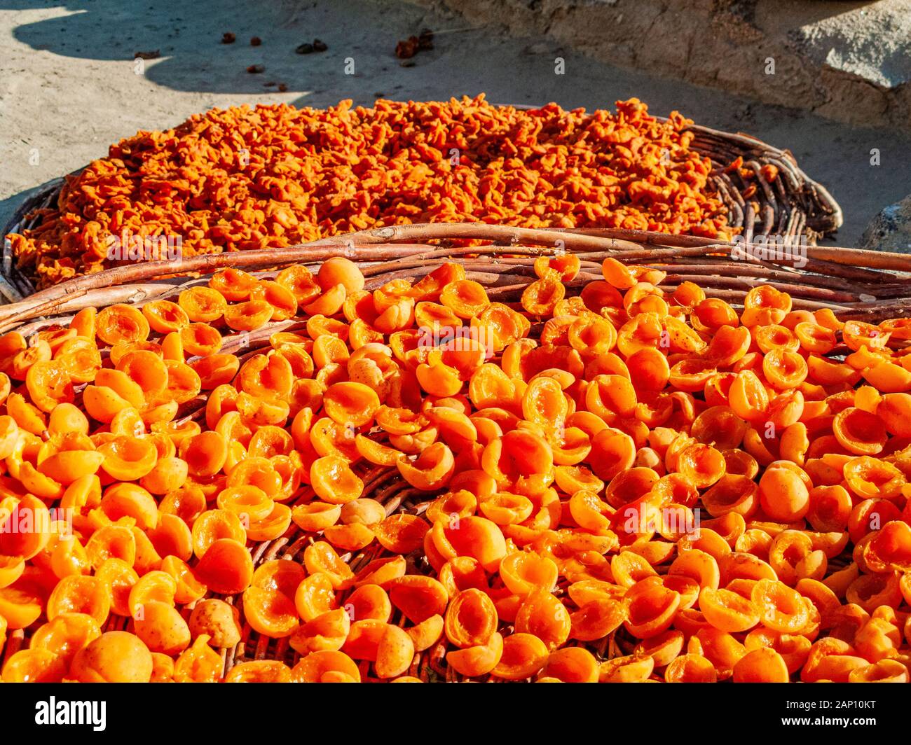 Apricots, the delicious fruits of this area, are drying in the sun ...