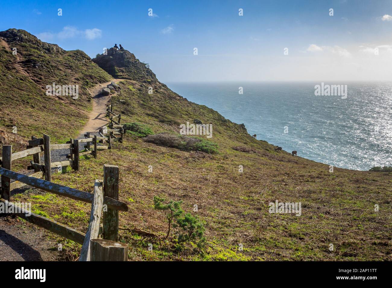 Point reyes national seashore trail hi-res stock photography and images ...