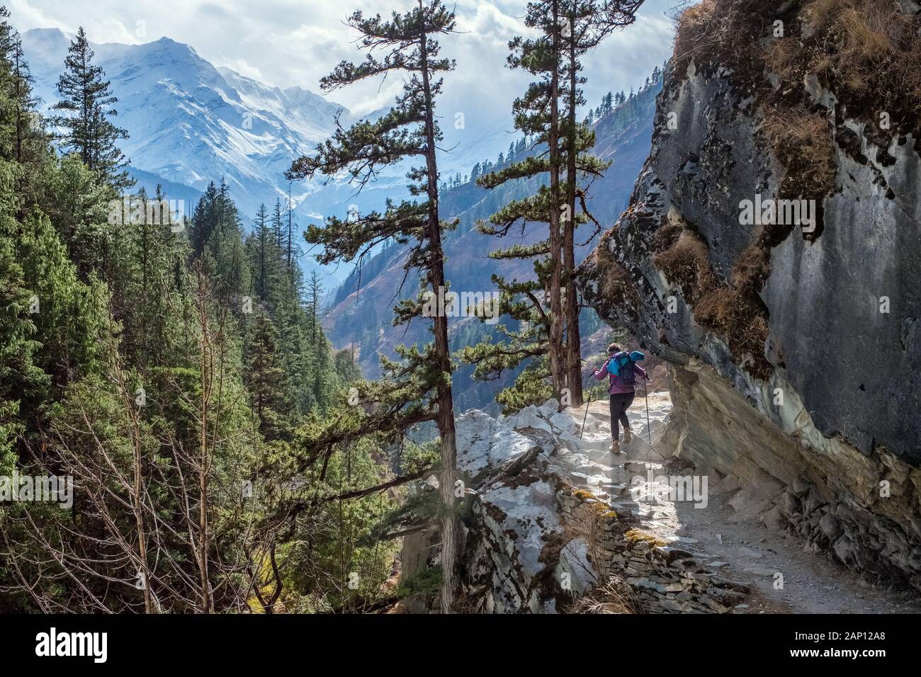 Trekking on a narrow path through a gorge on the Lower Dolpo trek in ...