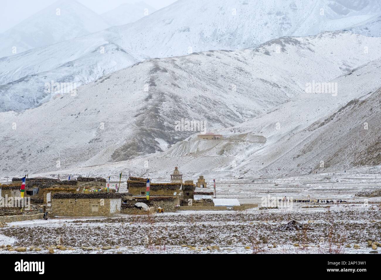 The ethnically Tibetan village of Dho Tarap in Dolpo, Nepal Stock Photo ...