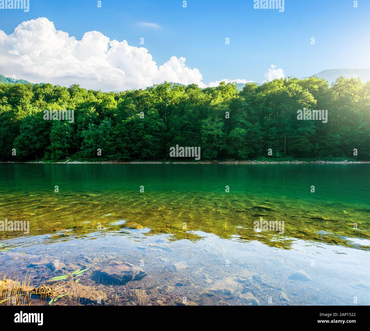 Biogradsko lake in the national park Biogradska Gora Montenegro Stock ...