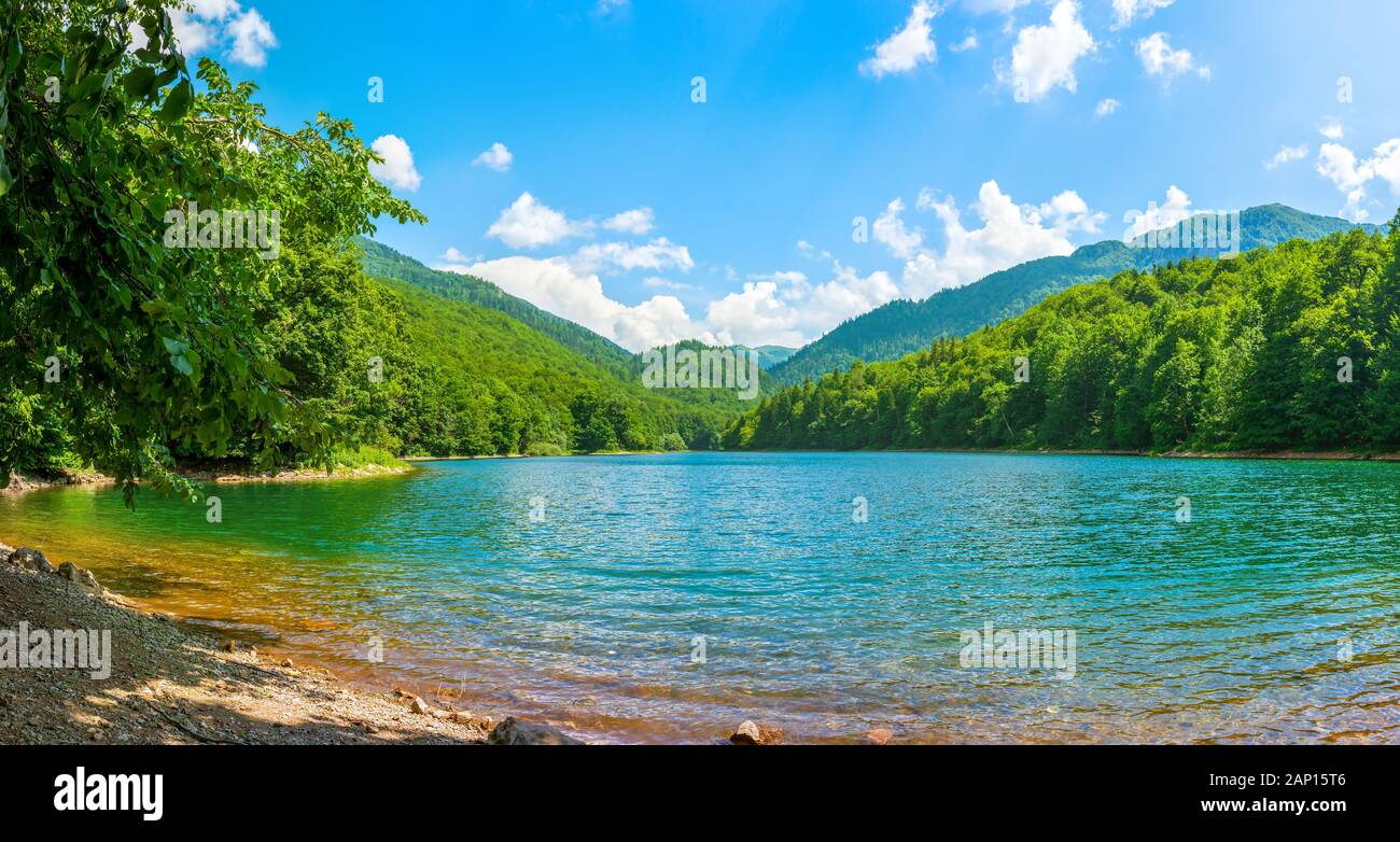 Biogradsko lake in the national park Biogradska Gora Montenegro Stock ...