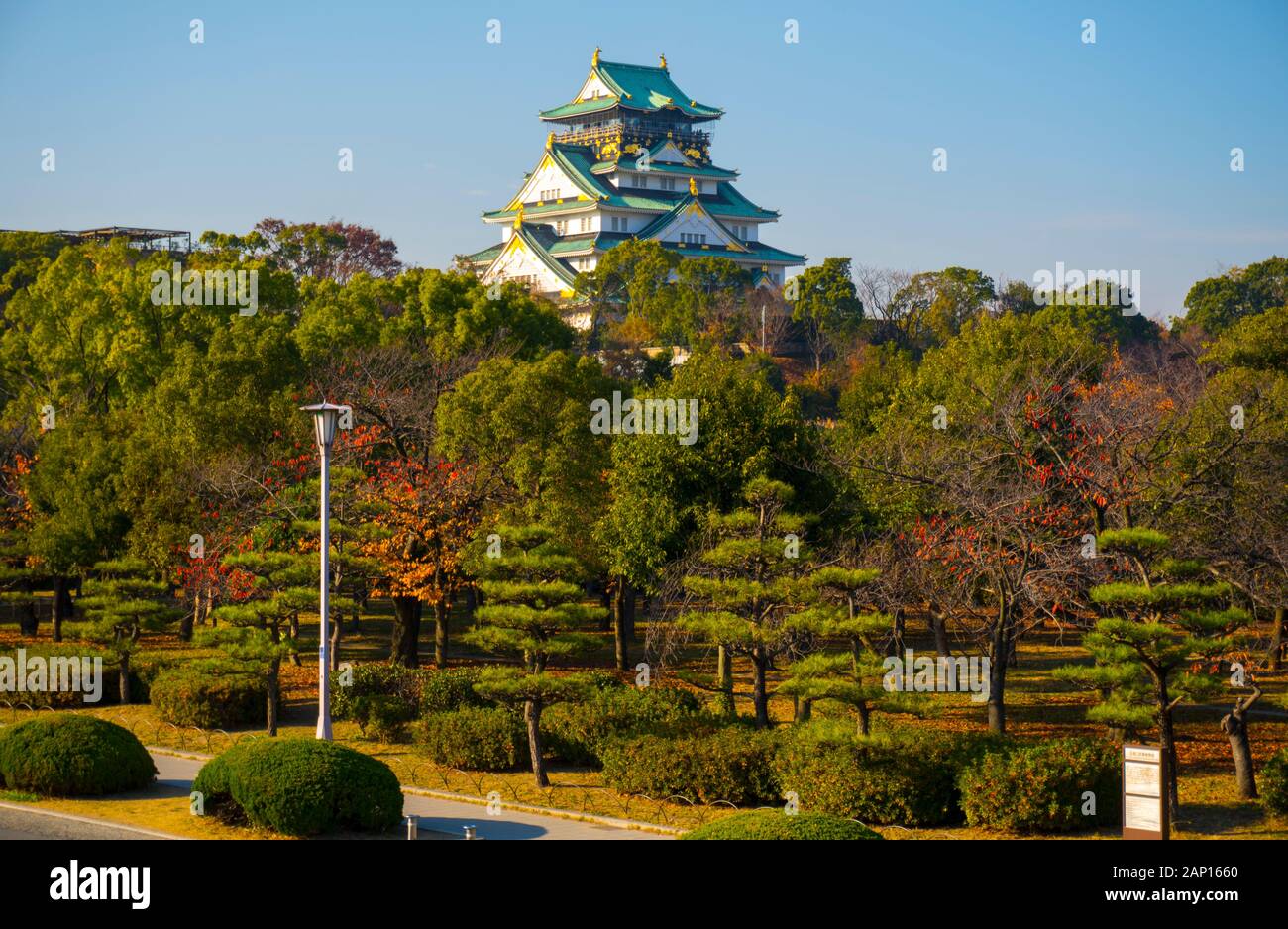 Japanese tree protection hi-res stock photography and images - Alamy
