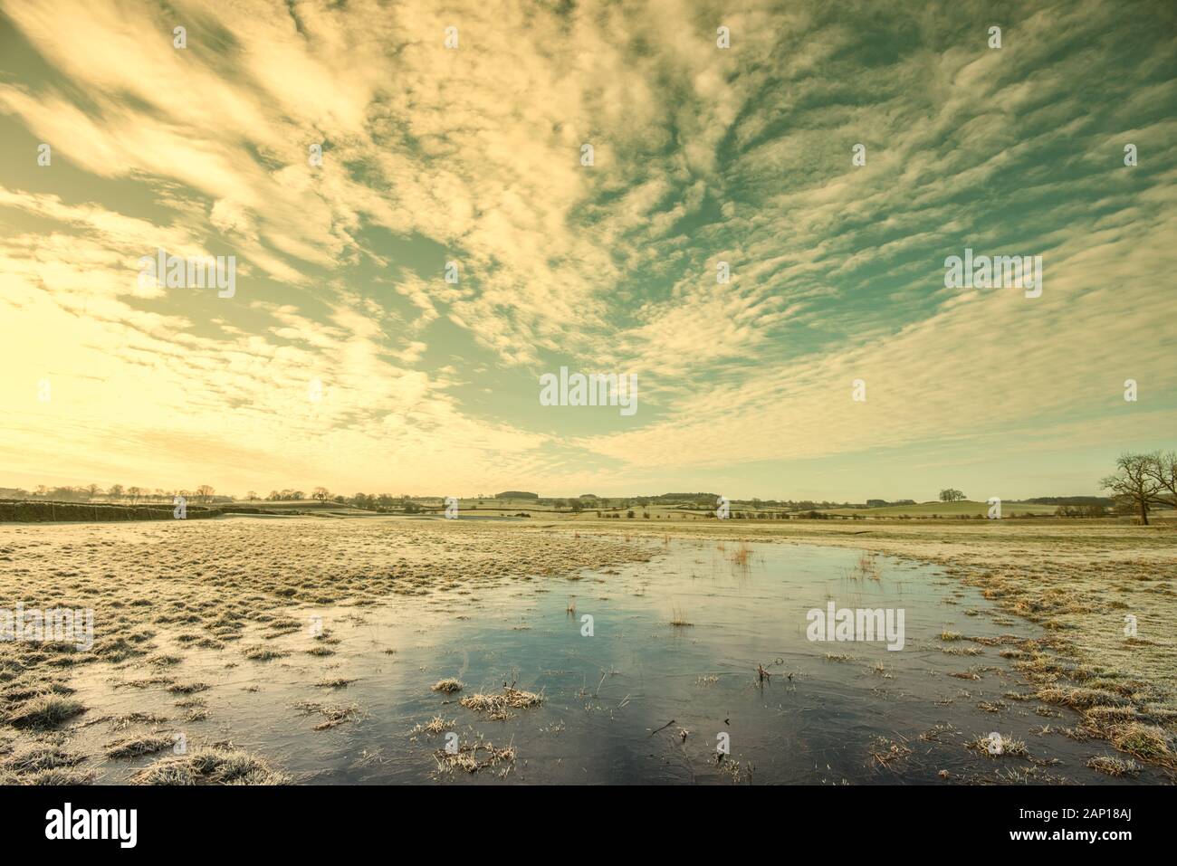 South ribble hi-res stock photography and images - Alamy