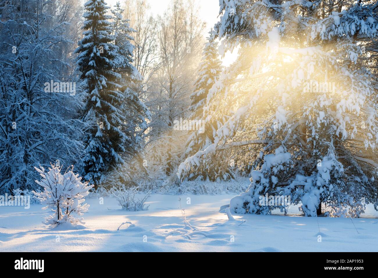 Sun and scenic scenery in winter hi-res stock photography and images ...