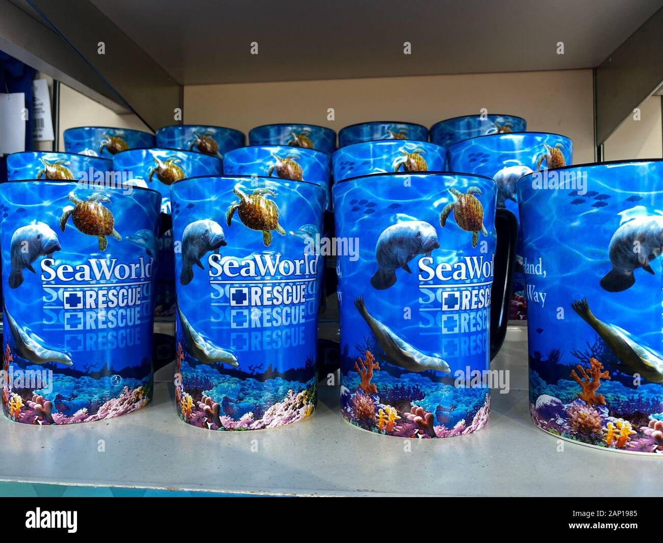 Orlando,FL/USA-1/17/20: A shelf of Manatee, Dolphin and sea lion ...