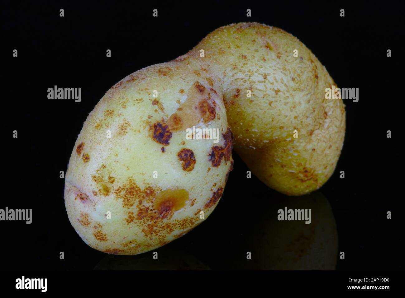 Misshapen potato hi-res stock photography and images - Alamy