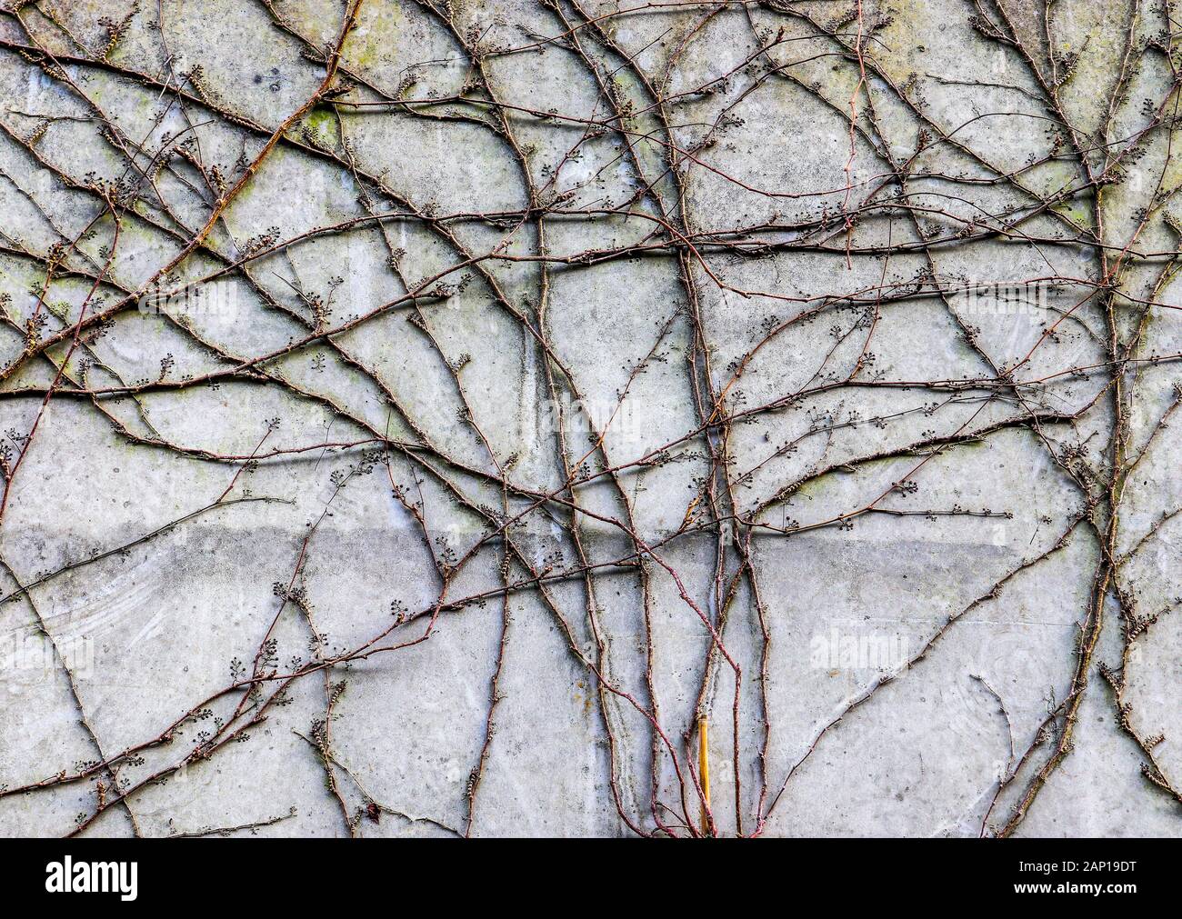 Detailed close up view of concrete walls on modern architecture ...
