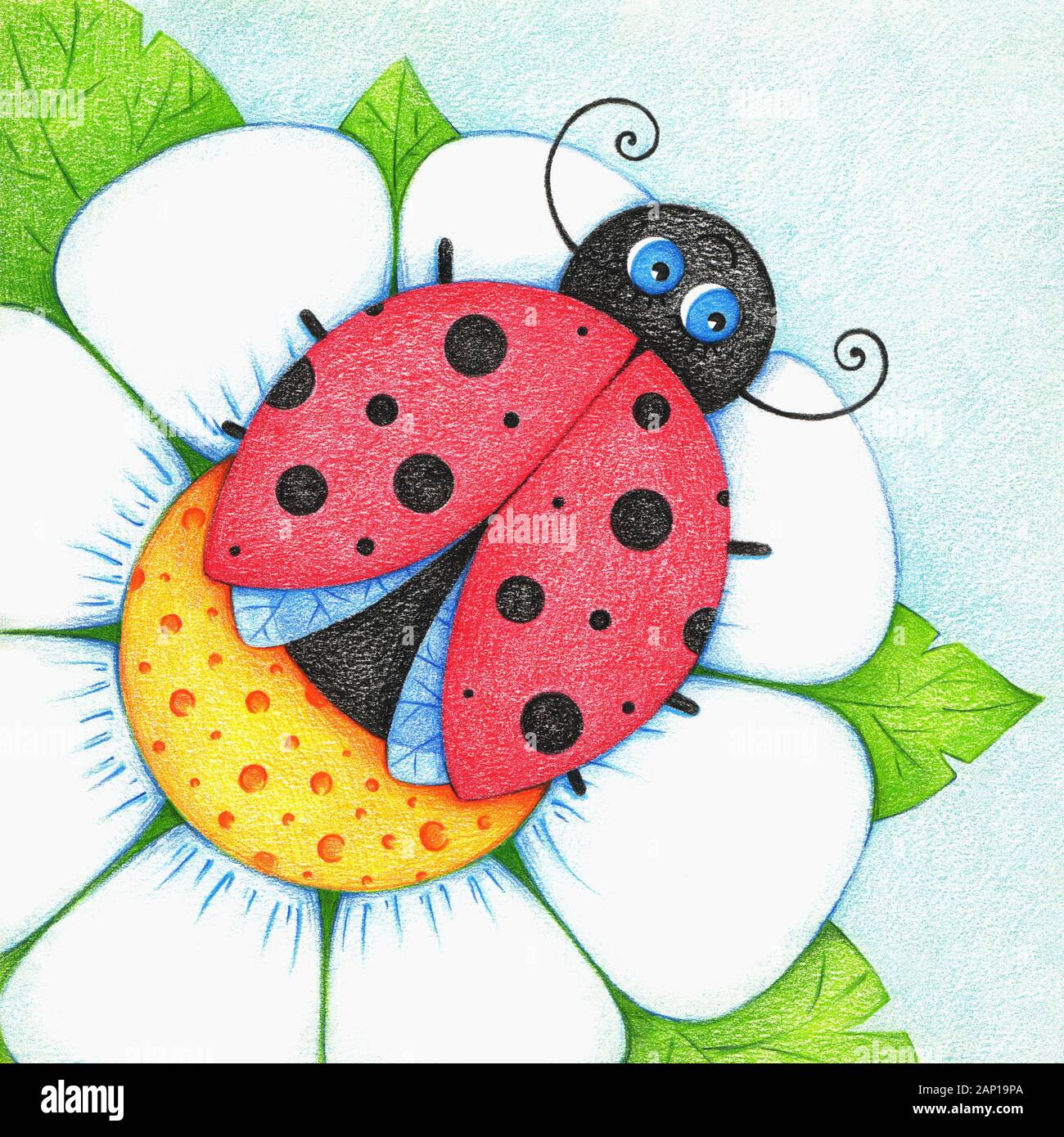 Hand drawn illustration of ladybird for kids Stock Photo - Alamy