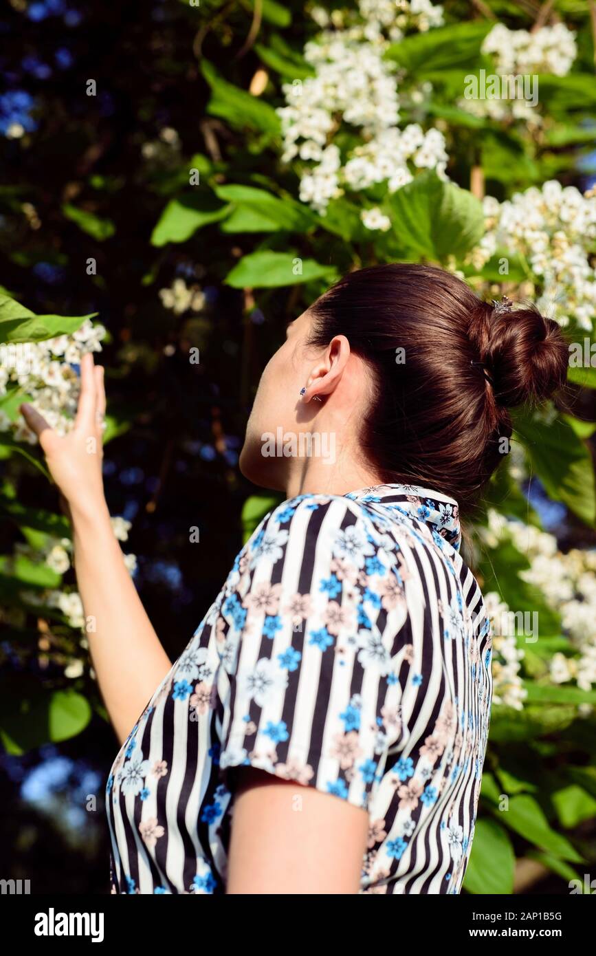 Wind touching flower hi-res stock photography and images - Alamy