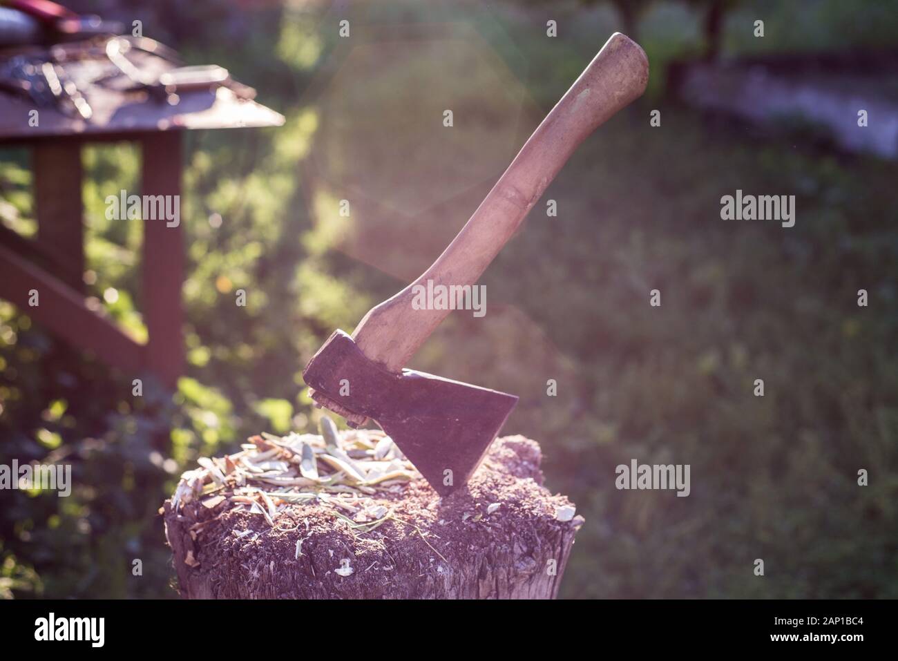 Ax and ax handle. Woodworking. Deforestation by a sharp axe. Ax to chop ...