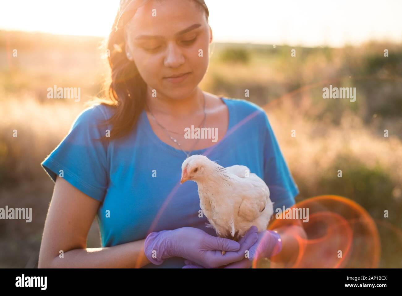 Farmer woman white chicken bird hi-res stock photography and images - Alamy