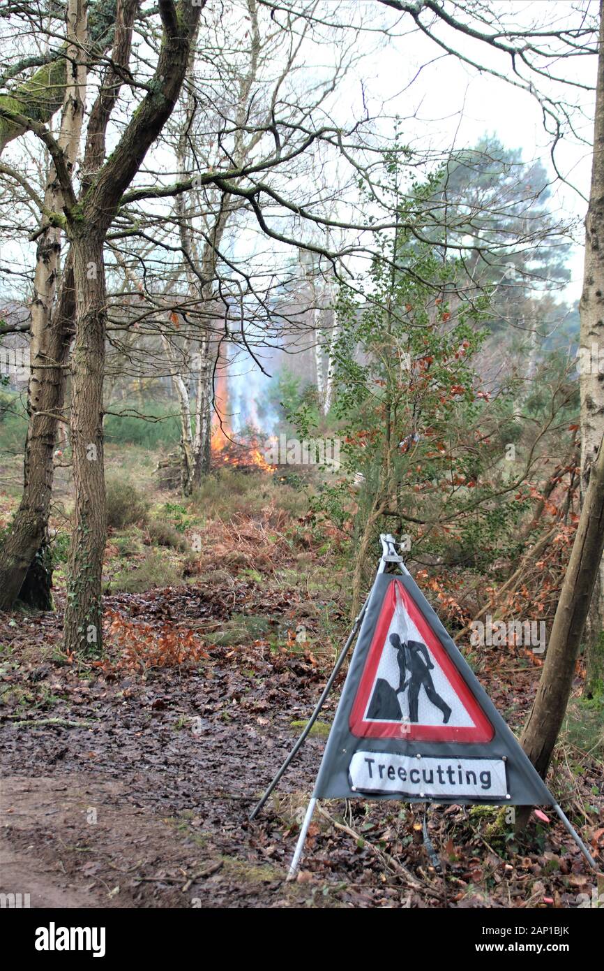 Surrey forest fire hi-res stock photography and images - Alamy