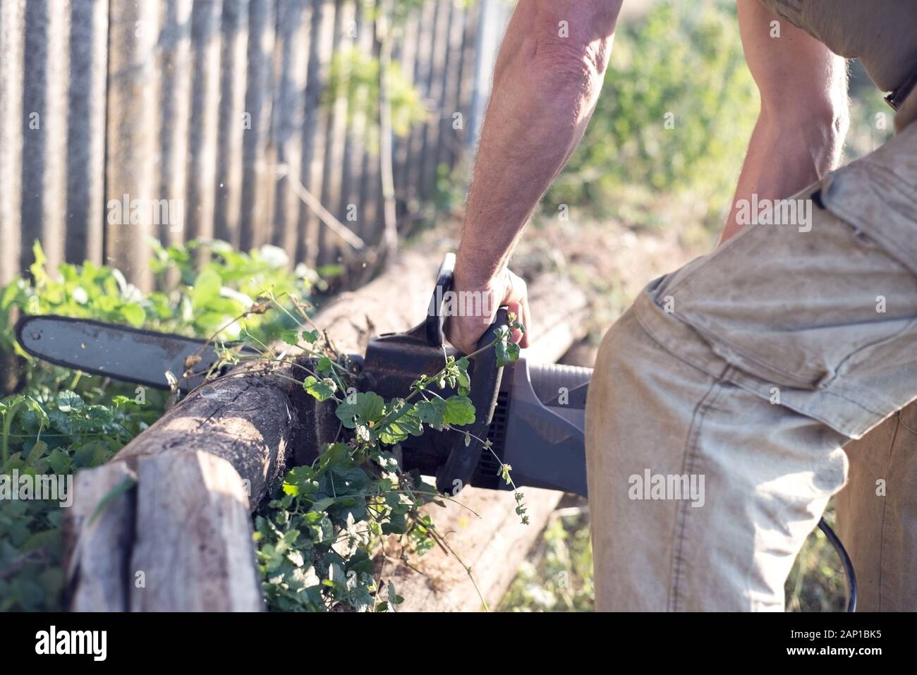 Woodcutter saws hi-res stock photography and images - Alamy