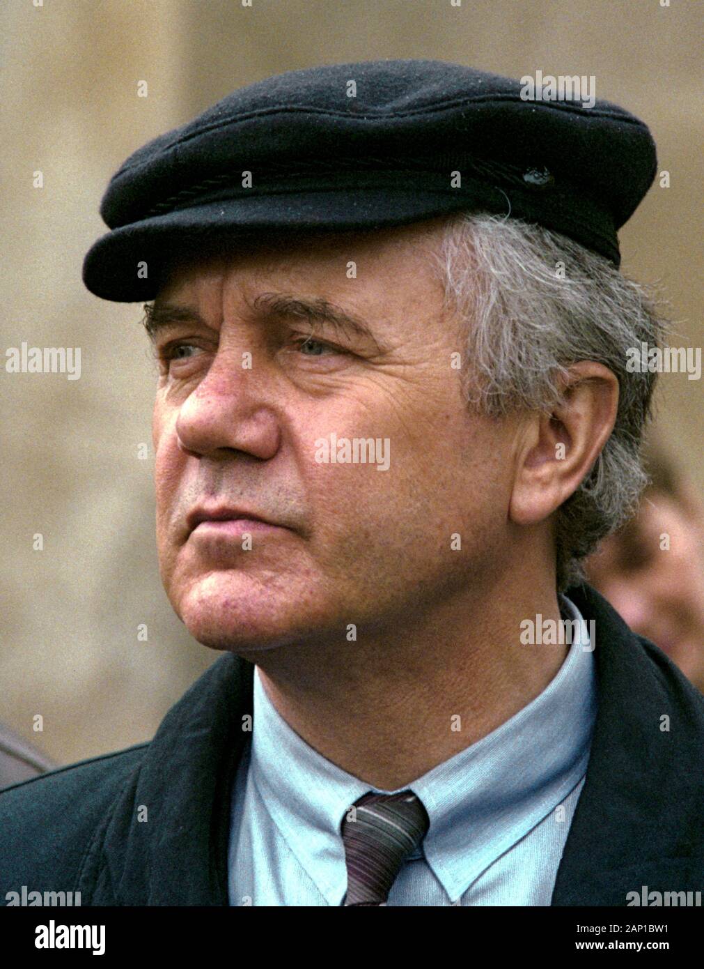 01 January 1993, Berlin, Brandenburg: Brandenburg/Parties/SPD/1993 ...