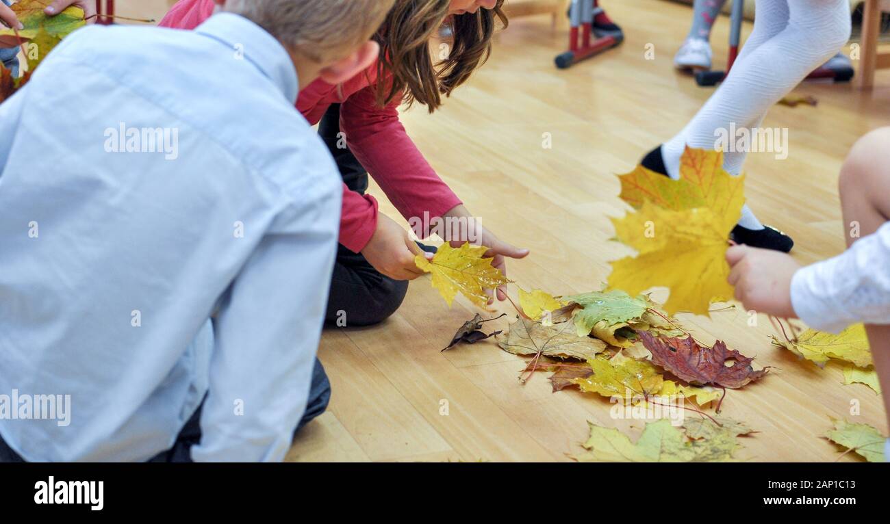 master class with natural materials for children, children play with ...