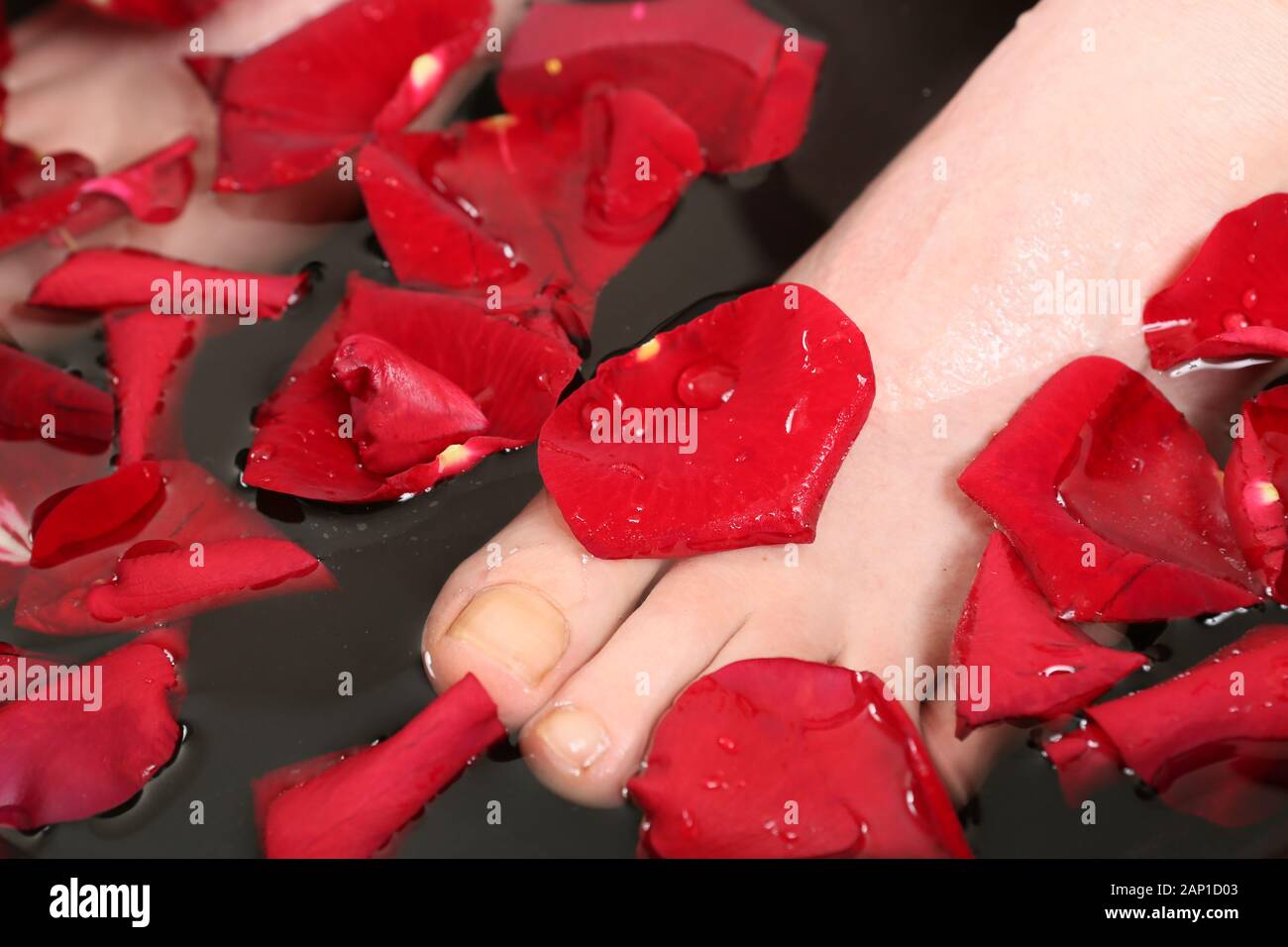A foot therapy bowl of rose petals, England Stock Photo - Alamy