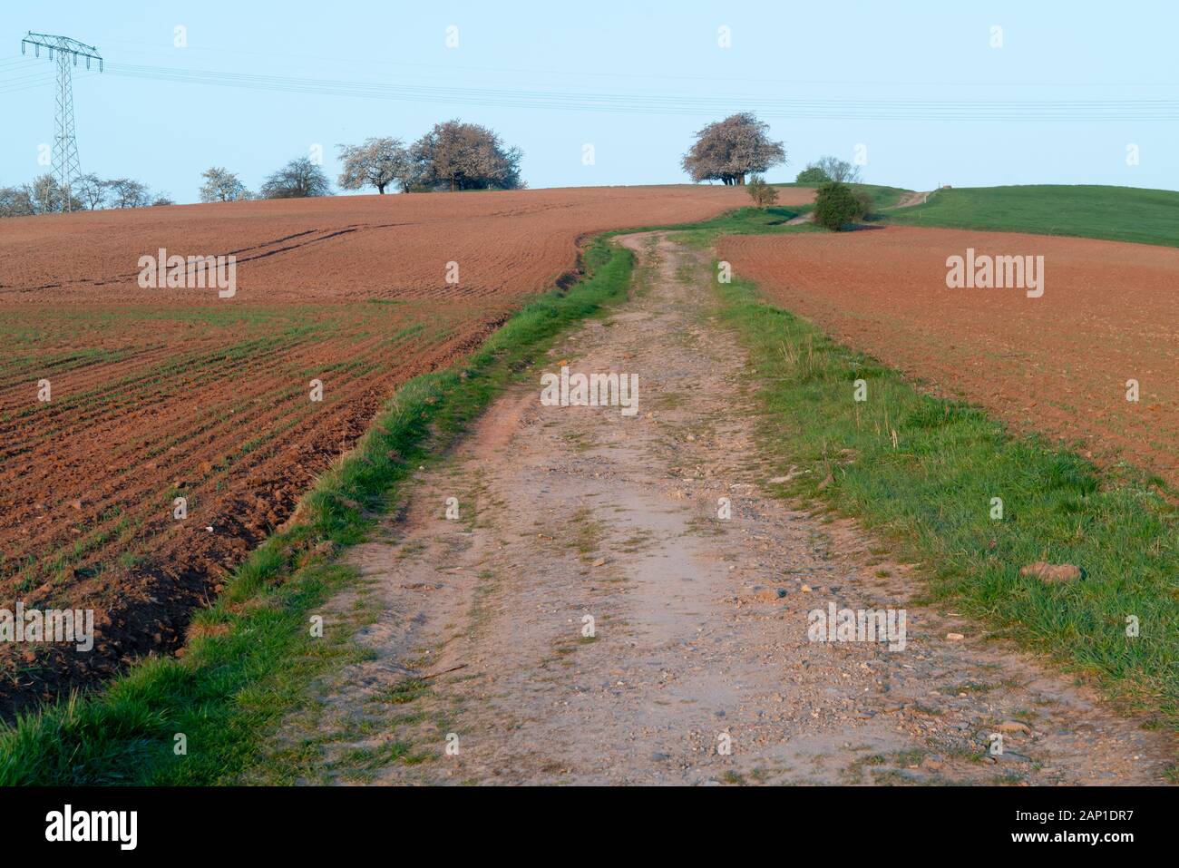 Country Road in Grain Field, a Kansas USA Stock Photo - Alamy