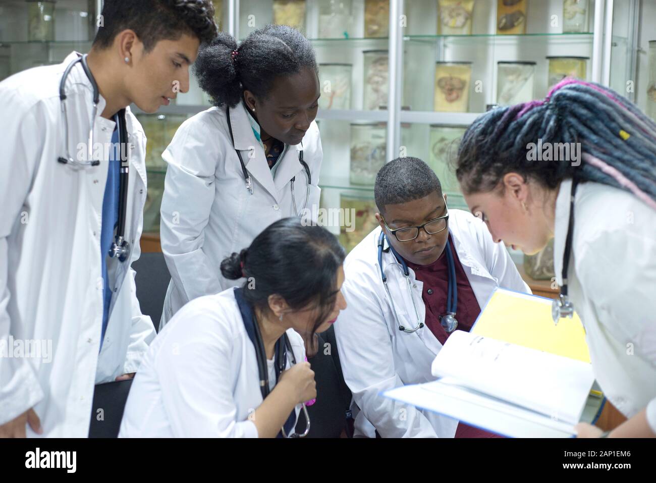 doctors, mixed race, in the classroom, at a medical conference. Young ...