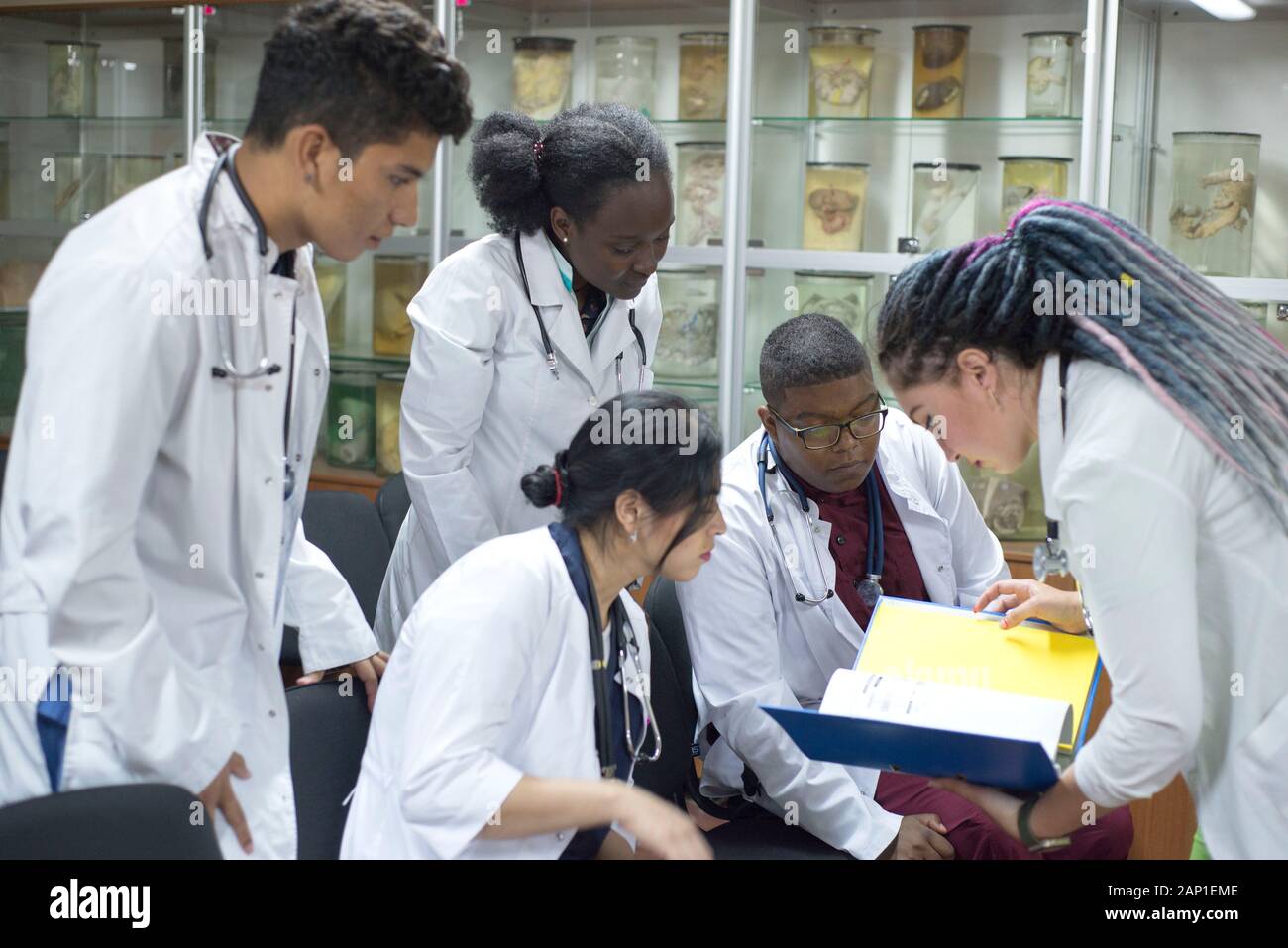 doctors, mixed race, in the classroom, at a medical conference. Young ...