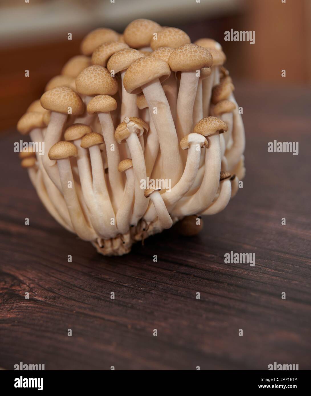 Old enoki hi-res stock photography and images - Alamy
