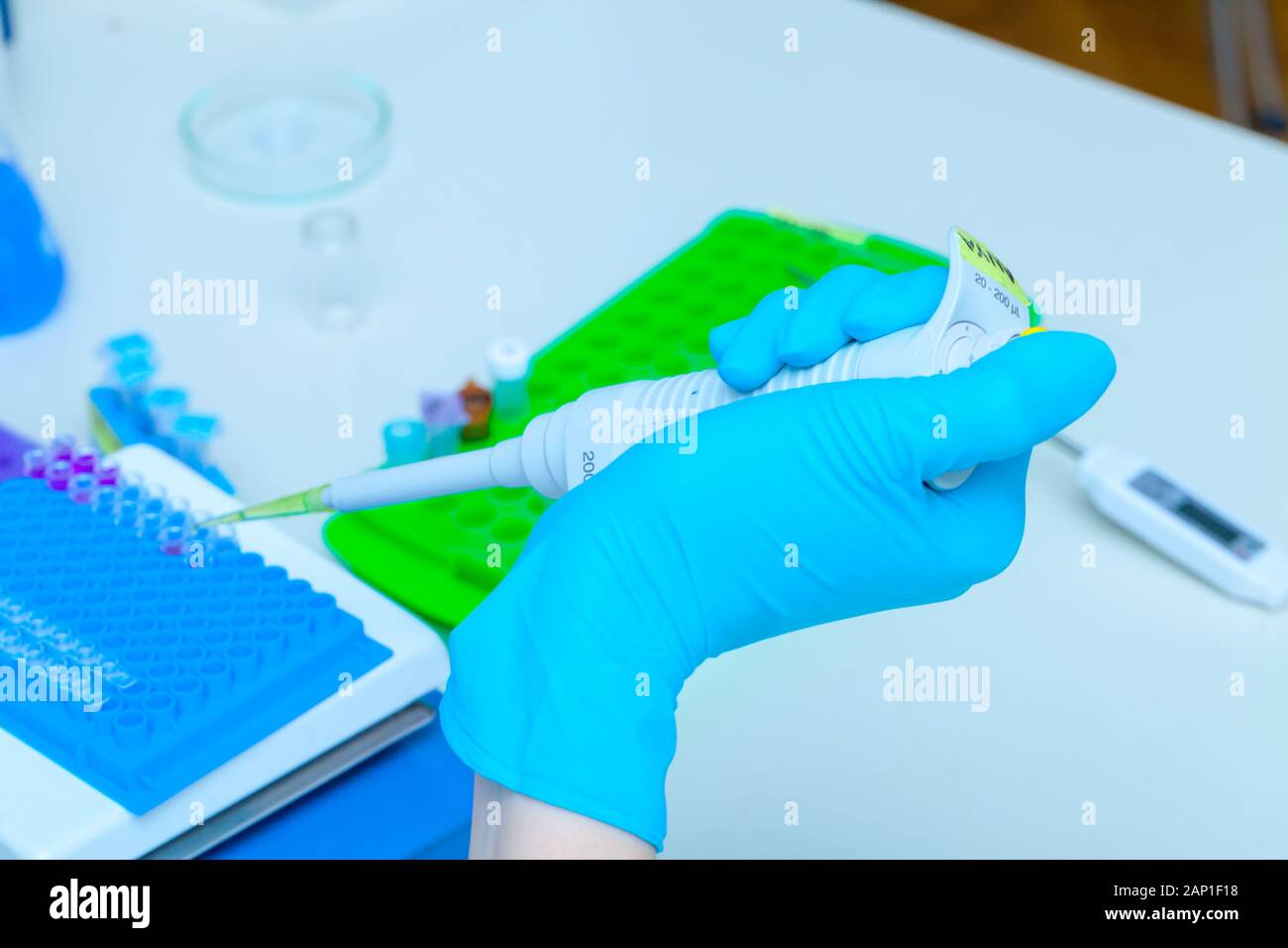 Using pipette in the laboratory Stock Photo - Alamy