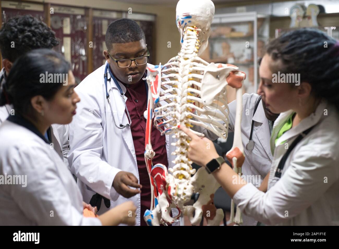 doctors of mixed race, of different sexes, in the study room, study ...