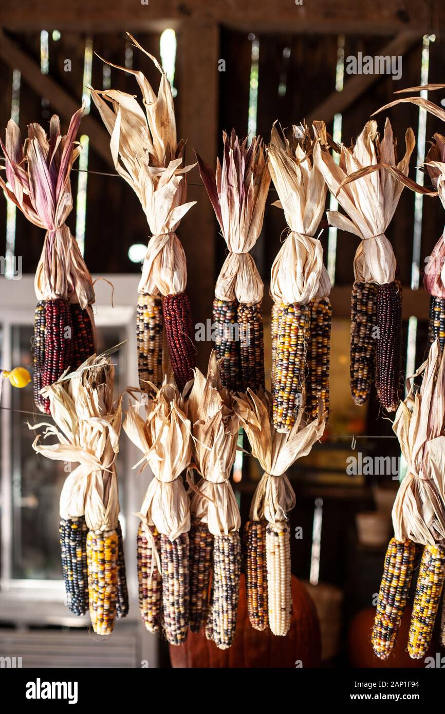 Farmstand hi-res stock photography and images - Alamy