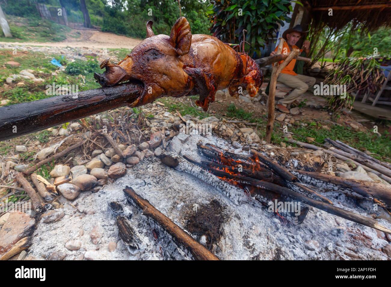 Side view of a pig hi-res stock photography and images - Alamy