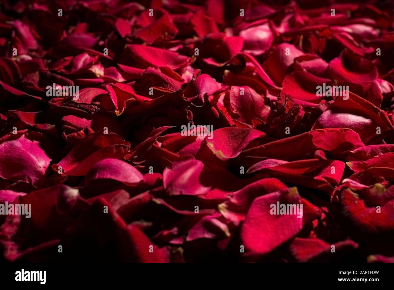 Dramatic floral arrangement hi-res stock photography and images - Alamy