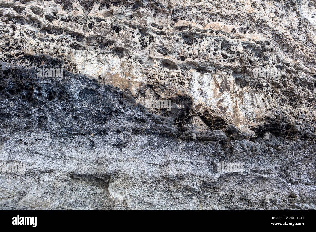 Background, texture of grey rock. Texture, background of shell rock ...