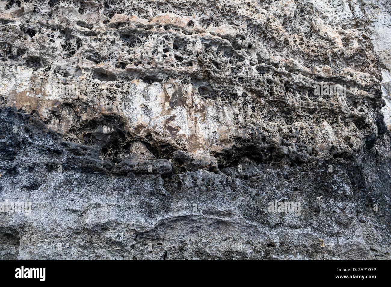 Background, texture of grey rock. Texture, background of shell rock ...