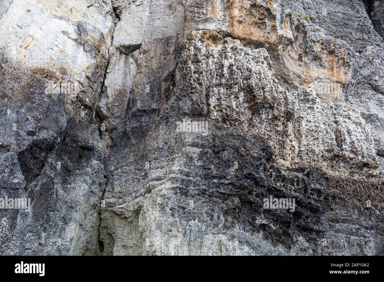 Background, texture of grey rock. Texture, background of shell rock ...