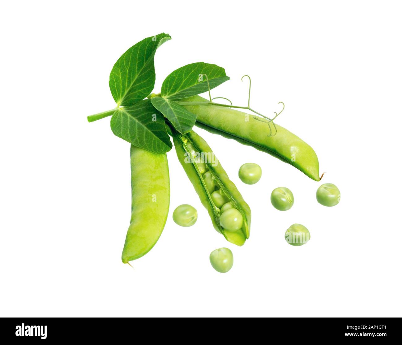 Green peas in pods with leaf and sprouts isolated on white background ...