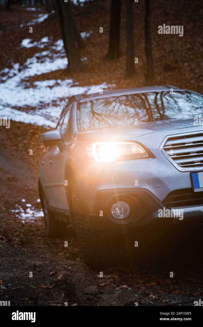 Forest 4wd path hi-res stock photography and images - Alamy