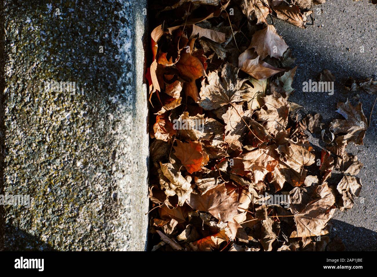 Curbside view hi-res stock photography and images - Alamy