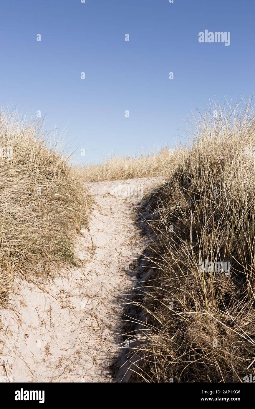 Path to the beach Stock Photo - Alamy