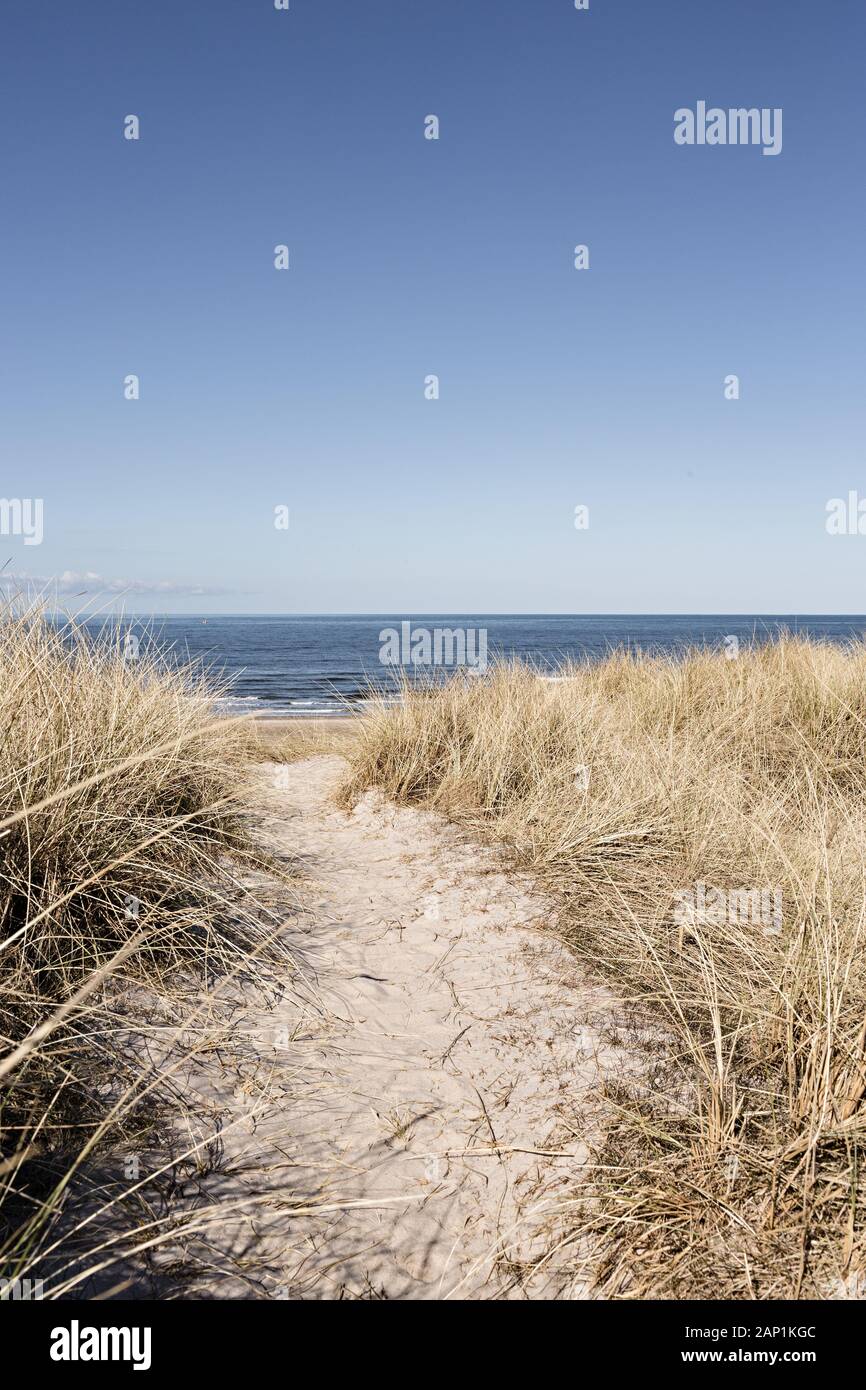 Path to the beach Stock Photo - Alamy