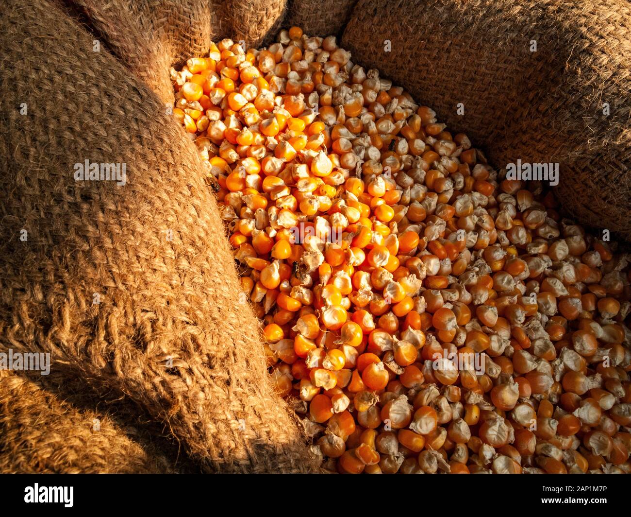 Indian wholesale market hi-res stock photography and images - Alamy