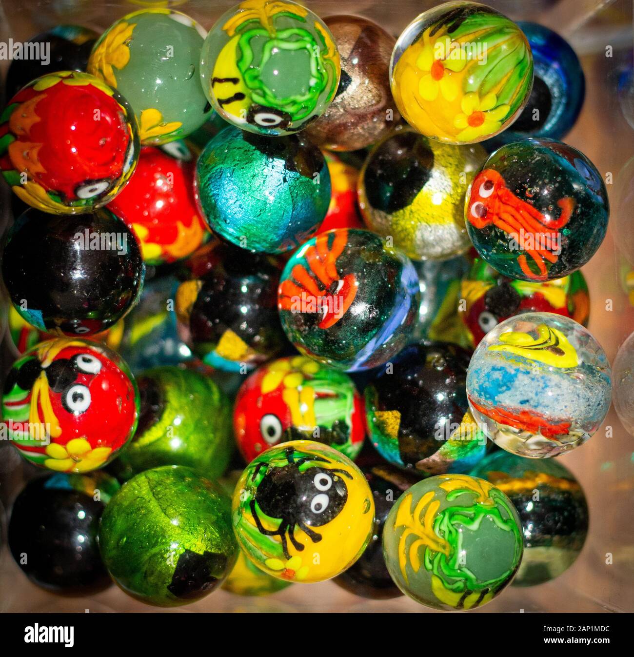 Rare spiders hi-res stock photography and images - Alamy