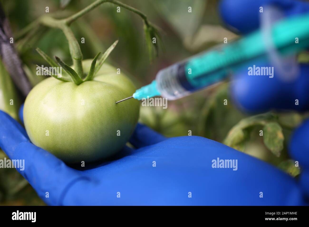 Biotechnology development and experiment Stock Photo - Alamy