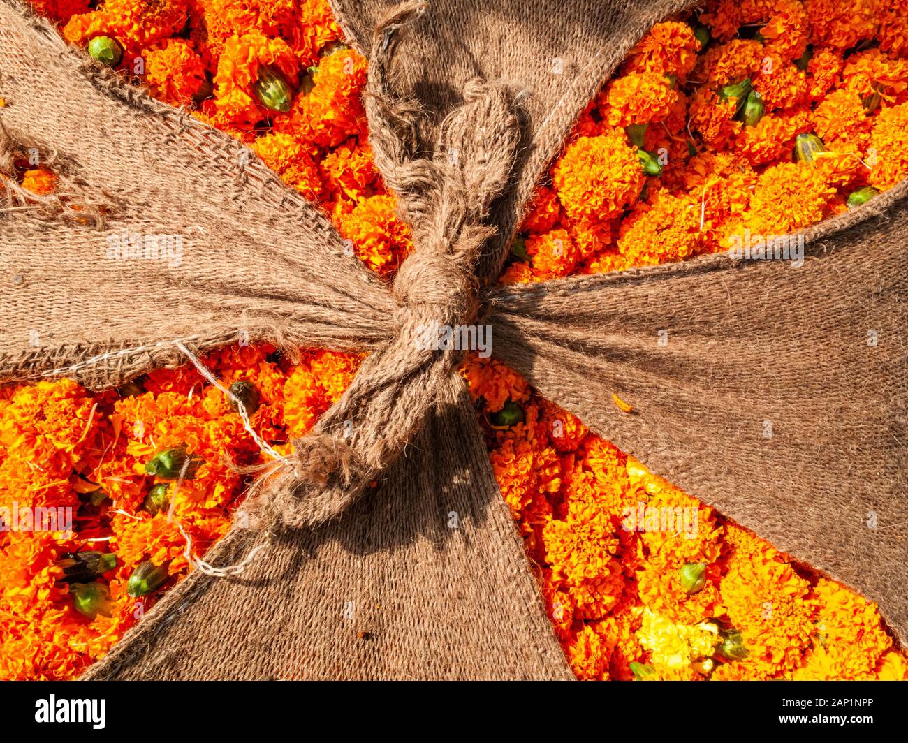 Flowers, packed in sacks, are for sale at the flower wholesale market ...
