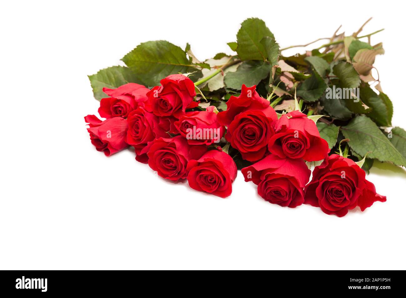 Red roses isolated on a white background Stock Photo - Alamy