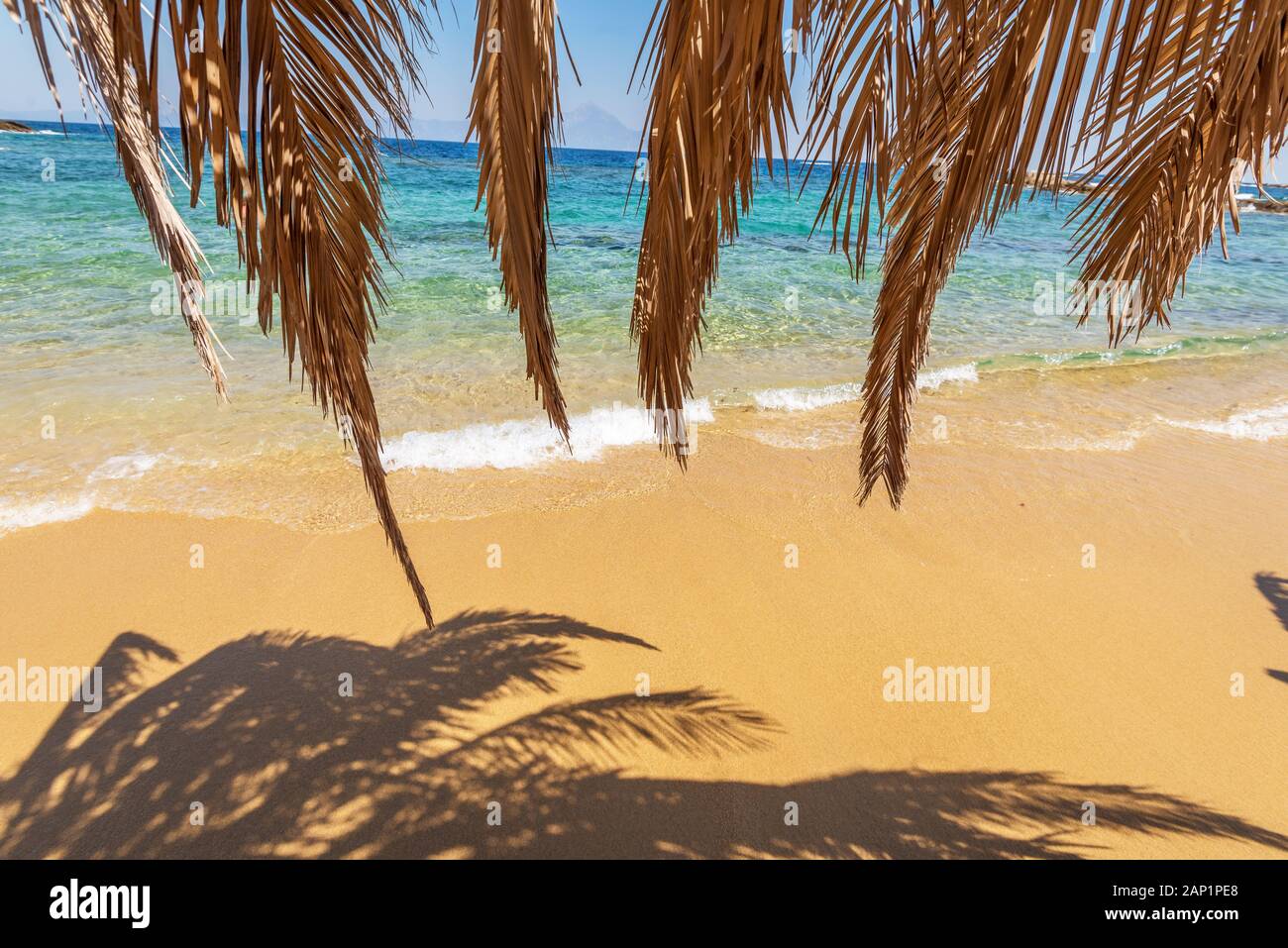 Beautiful Tigania beach on Greek peninsula Sithonia, part of larger ...